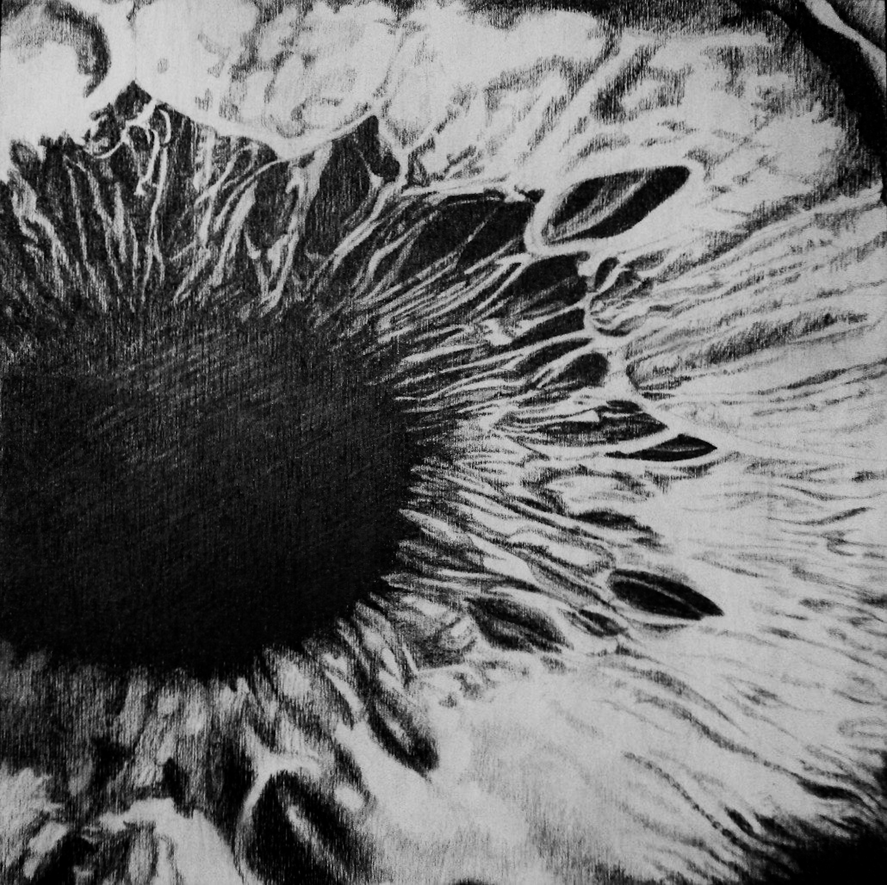 Deborah McColl | Visual Artist | Drawings